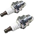 Amazon.com: NGK (5574) BPM8Y Spark Plugs Individual Boxed - 2 Pack ...
