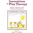 Amazon.com: Innovations in Play Therapy: Issues, Process, and Special ...