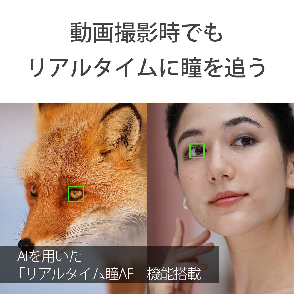 Mua Sony Î±7C Full-Frame MILC Digital Camera, ILCE-7C B Body (without ...