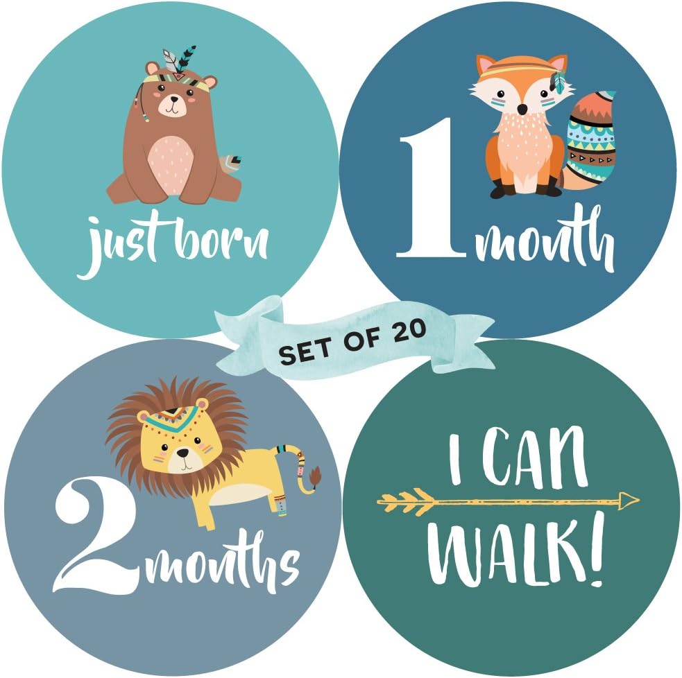 Baby Monthly Milestone Stickers (Set of 20) - Birth to 12 Months + 7 ...