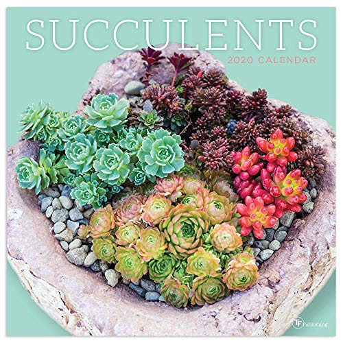 Download 2020 Succulents Wall Calendar by PDF Free ...