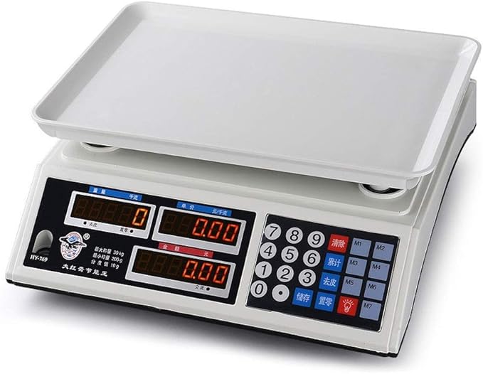 lqgpsx Balance électronique - Balance de Pesage Industrielle de Haute ...