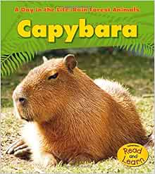 Capybara (A Day in the Life: Rain Forest Animals): Ganeri, Anita ...