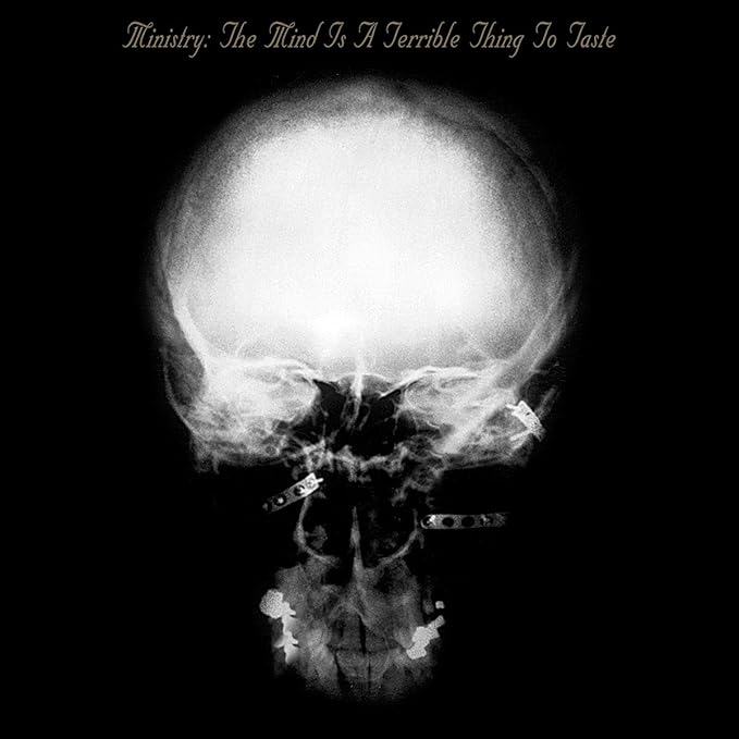 Mind Is A Terrible Thing To Taste by Ministry: Amazon.co.uk: CDs & Vinyl