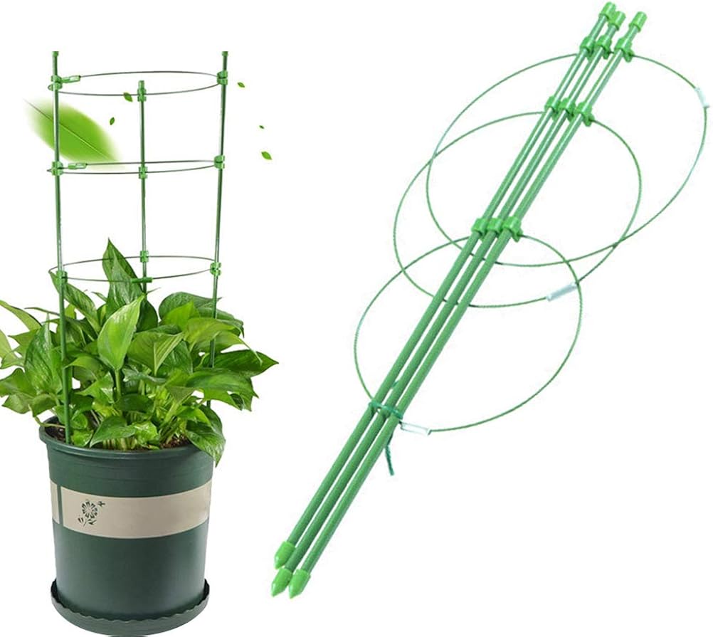 Pack of Plant Pots Climbing Plants Stand Support Premium 45cm Height ...