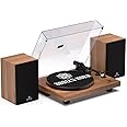Amazon.com: ANGELS HORN Vinyl Record Player, Hi-Fi System Bluetooth ...