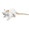 Amazon.com: Folkmanis White Rat Hand Puppet : Toys & Games