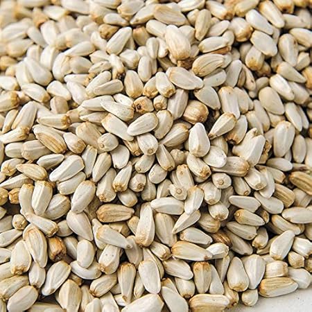 Buy Label M.E Safflower Seeds/ Kusum Beej Seeds/ Kardi Seeds for Birds ...