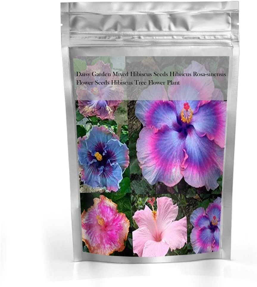 Mixed Hibiscus Flower Seeds Hibiscus Rosa-sinensis Hibiscus Tree Flower ...