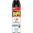 Amazon.com: Raid Ant & Roach Aerosol Bug Spray, Water-Based Formula ...