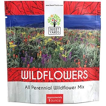 Amazon.com : Perennial Wildflower Seeds Mixture - Bulk 1 Ounce Packet ...