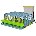 Amazon.com : Quail Cage Two Compartment, The Patented Design, First in ...