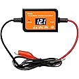 Amazon.com: 400AH Lead-Acid Battery Desulfator Battery Maintainer Auto ...