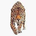Amazon.com - Jaguar Sticker Sticker Vinyl Waterproof Sticker Decal Car ...