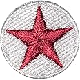 Amazon.com: Silver Star Patches Iron On 10-Pack 1" Embroidered Reward ...