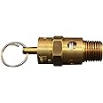 Milton S-1090-150 1/4" MNPT ASME Safety Valve - 150 PSI Pop off ...