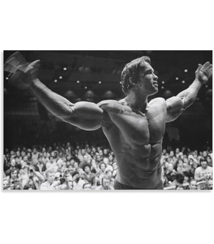 Arnold Schwarzenegger Enjoyment Poster