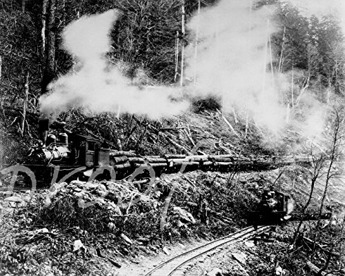 Modeling the Murphy Branch - nScale.net