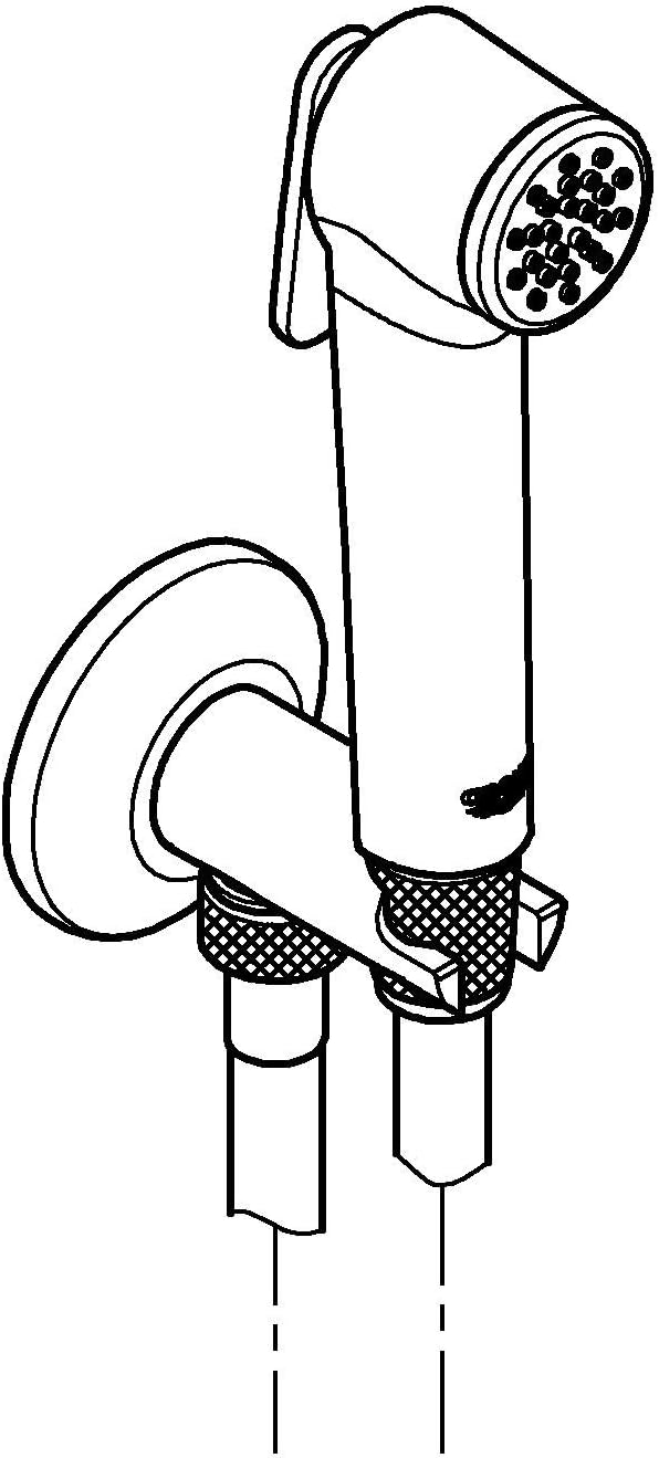 Grohe 26358000 Shower Set with Stop Valve and Tempesta-f Trigger Spray ...