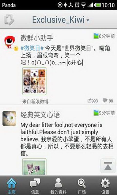 Amazon.com: panda weibo