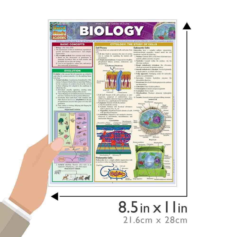 Mua Biology: A QuickStudy Laminated Reference Guide (QuickStudy ...