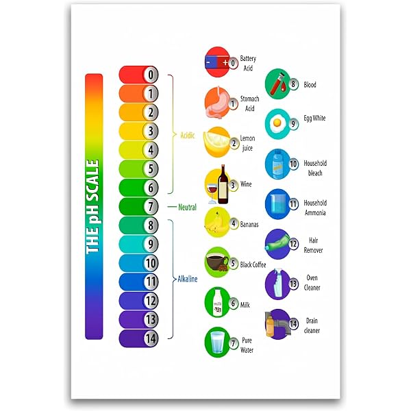 Ph Scale Examples Household Items