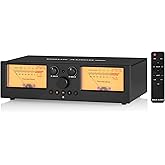 Amazon.com: Douk Audio VU3 PRO Dual Analog VU Meter, 2-Way Amplifier ...