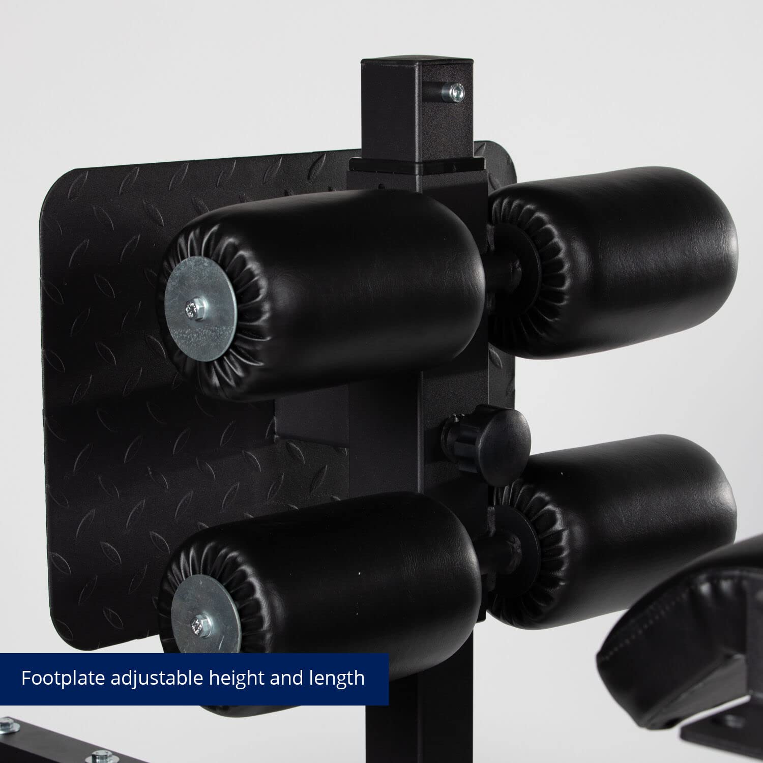 Mua Titan Fitness Glute & Hamstring Combo H-PND Extension Machine, 2-in ...