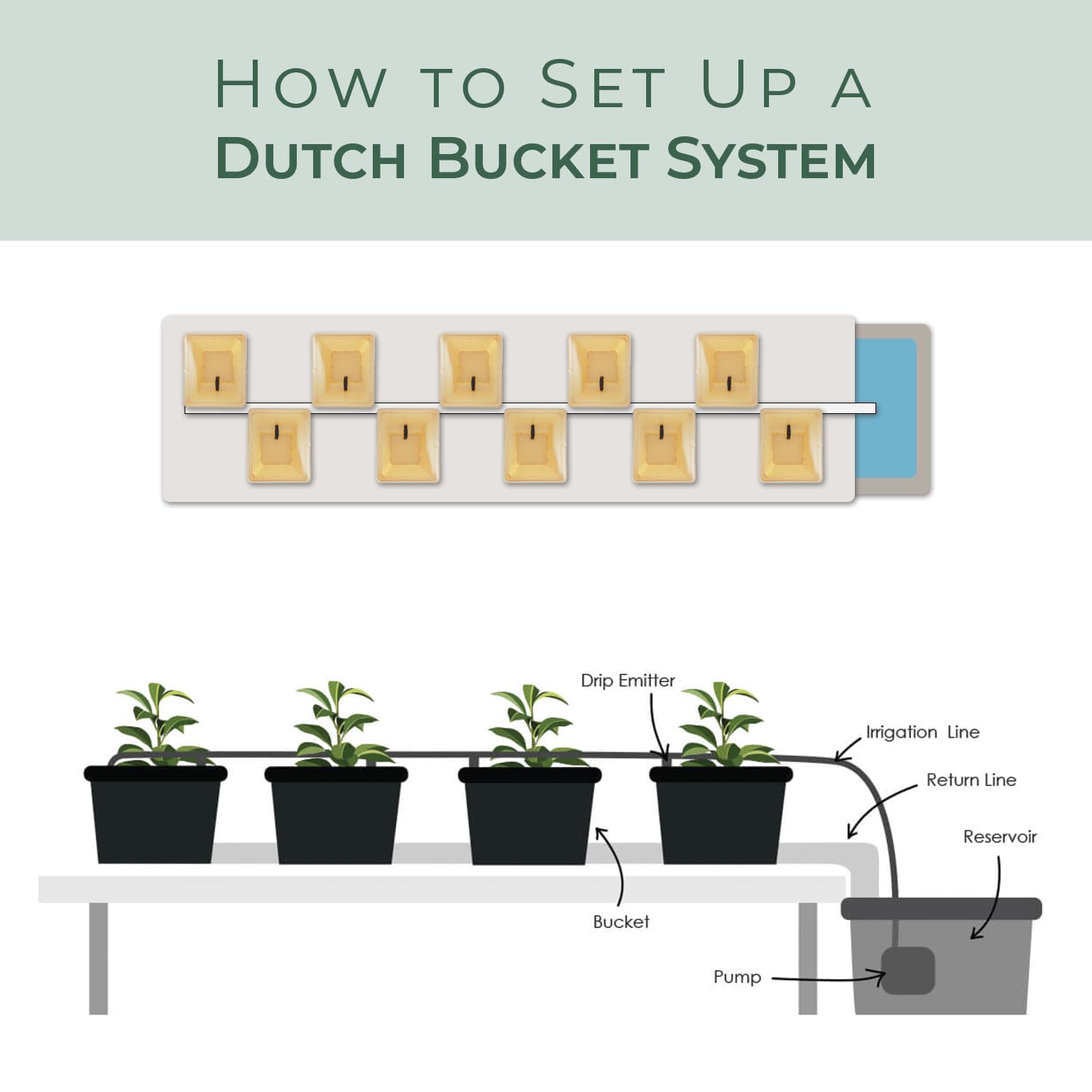 Mua Hydroponic Dutch Bucket System - Complete Kit with 10 Buckets ...