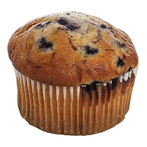 Amazon.com: Otis Spunkmeyer Delicious Essentials Wild Blueberry Muffin ...