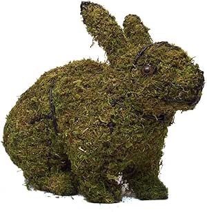 Amazon.com : 13" High Topiary Hopping Rabbit filled with Sphagnum Moss ...
