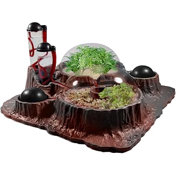 Amazon.com: Roly Poly Farm by Pocket Pets: Toys & Games