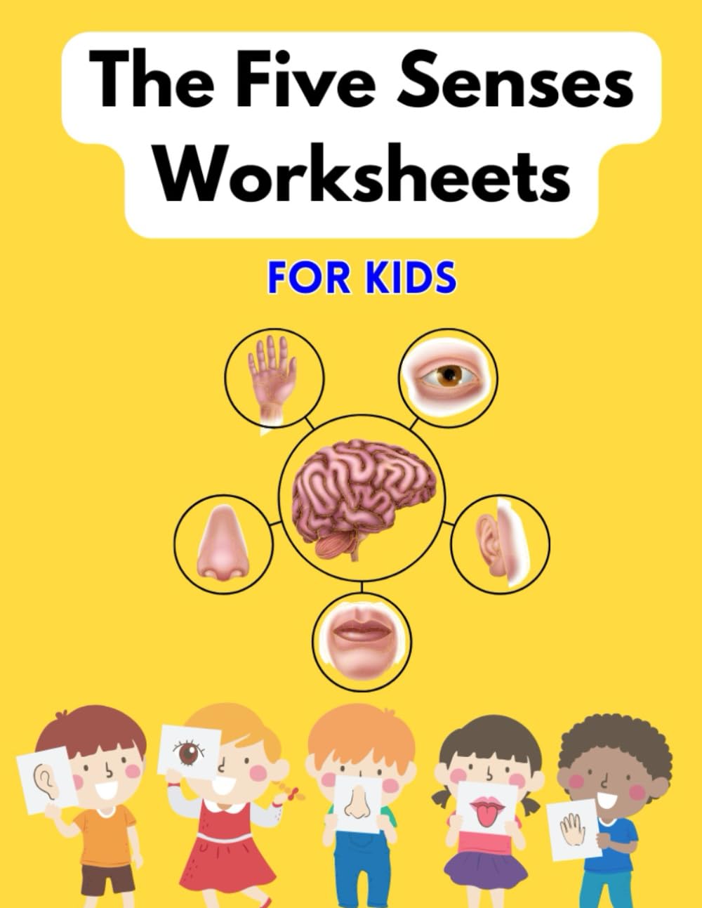 Mua The Five Senses Worksheets for kids. Help explore & understand the ...