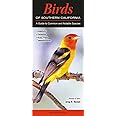 Birds of Southern California: A Guide to Common & Notable Species ...