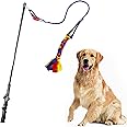 Pet Supplies : YINOR Flirt Pole for Dogs-Interactive Lures Durability ...