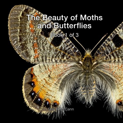 The Beauty of Moths and Butterflies: Book 1 of 3 (Picture books for ...