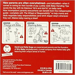 Safe Baby Handling Tips: David Sopp, Kelly Sopp: 9780762456581: Amazon ...