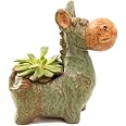 Amazon.com: SELLONWANELO Vintage Ceramic Donkey Plant Flower Pot ...