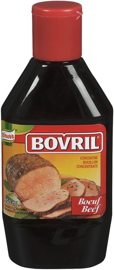 Knorr Bovril Beef Concentrated Liquid Stock 250mL: Amazon.ca: Grocery