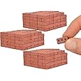 Amazon.com: Acacia Grove Real Mini Red Bricks, 1/12 Scale (300 Pack ...