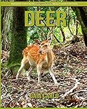 Baby Deer (It's Fun to Learn About Baby Animals): Bobbie Kalman ...