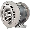 Suncourt ThruWall TW108 Room-to-Room Transfer Through Wall Vent Fan, 2 ...