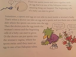 It's Not the Stork!: A Book About Girls, Boys, Babies, Bodies, Families ...