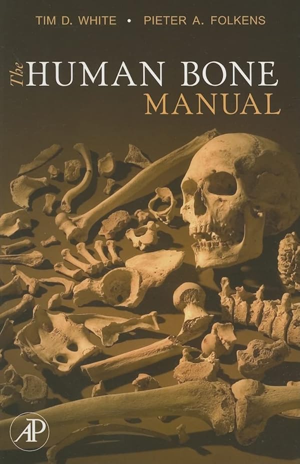 The Human Bone Manual | Guatemala Digital - guatemaladigital.com