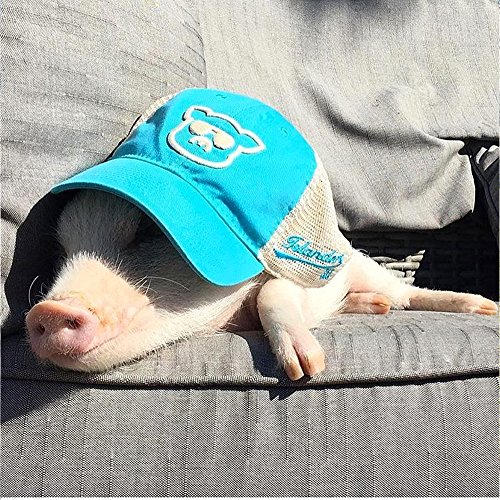 Islanders Mossy Oak Treestand Pig Face Trucker Hat – Electronics ...