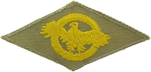 Amazon.com: WWII Ruptured Duck Honorable Discharge Patch 3"