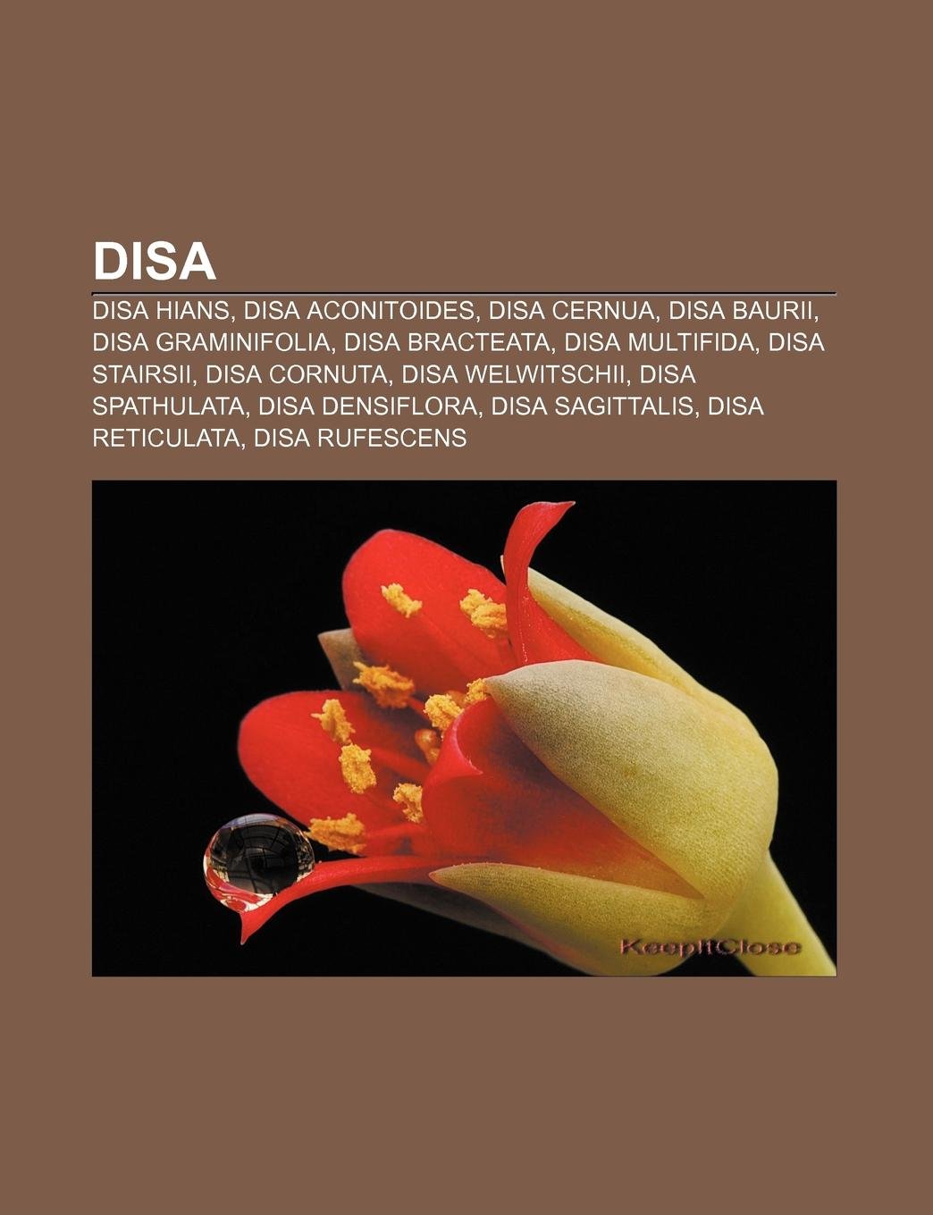 Disa: Disa Hians, Disa Aconitoides, Disa Cernua, Disa Baurii, Disa ...