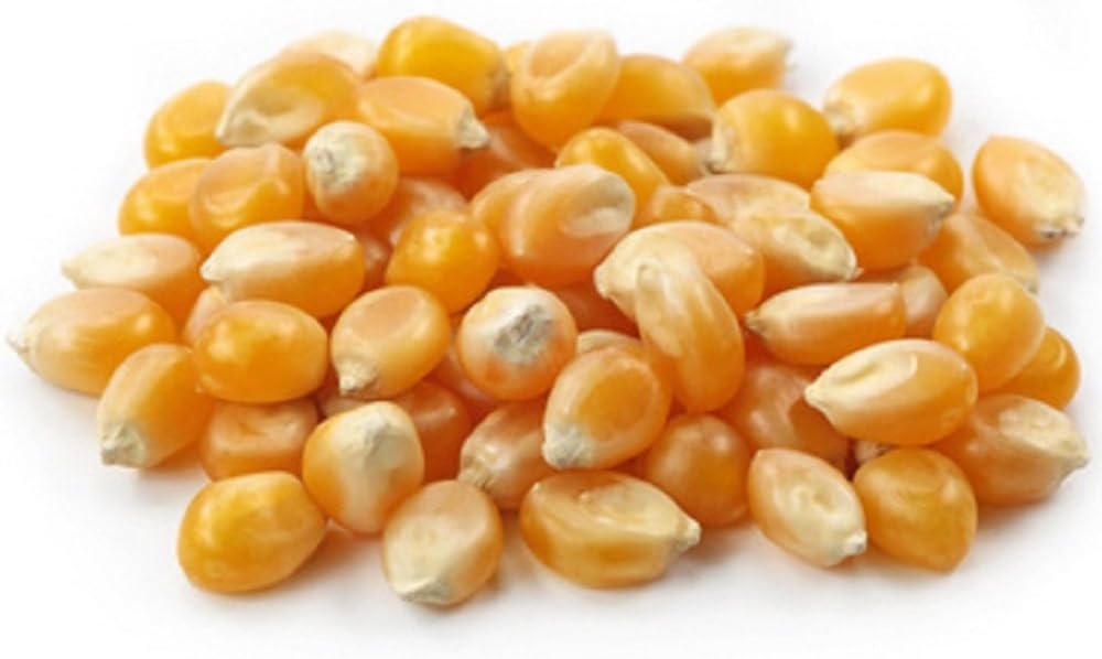 GO Whole Foods Original Yellow Popping Corn | Non GMO (20kg): Amazon.co ...
