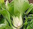 PAK CHOI - Dwarf Canton White - Chinese - 300 seeds: Amazon.co.uk ...