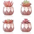 Amazon.com: Tiita 4 Pack Artificial Faux Succulents in Pots, Mini Rose ...